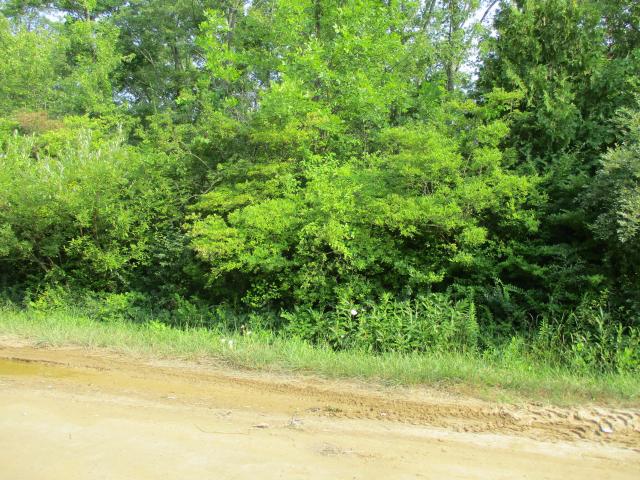 V/l Miami Avenue, Unit LOTS 2124, South Haven, MI 49090 | MLS #25038 | Compass