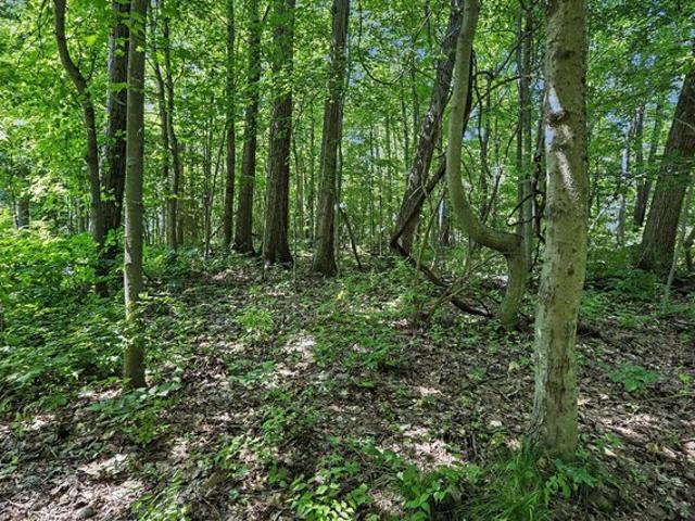 V/L Middle Rd Lots 45 & 46, Three Rivers, MI 49093