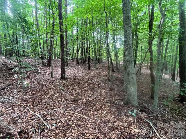 V/L Moore Branch Drive