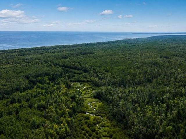 Vl N Fork Rd, Millersburg, MI 49759