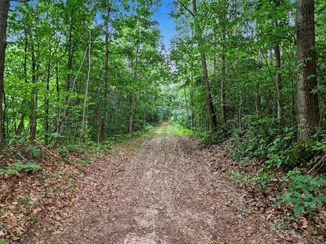 V/L N Larson Rd, Fountain, MI 49410