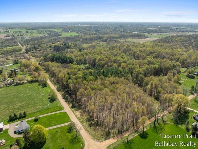 Vl N Pease Rd, Vermontville, MI 49096