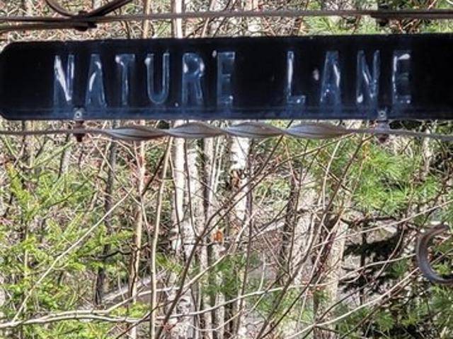 V/L Nature Ln Lot 13, Ocqueoc, MI 49759