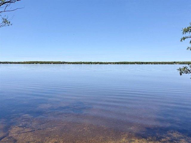 V/L Paradise Ln, Levering, MI 49755