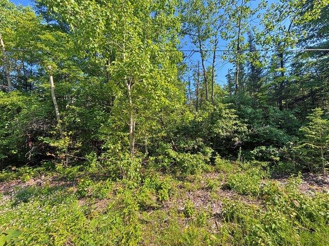V/L Pineview Dr Lot 278, Presque Isle, MI 49777