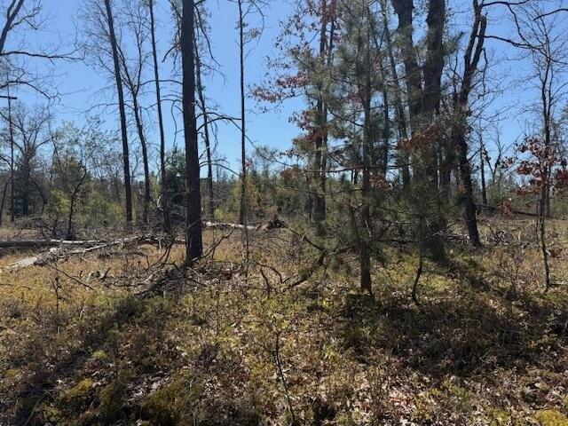 Vl Prarie Rd, Idlewild, MI 49642