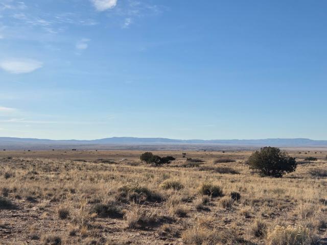 VL Rancho Rio Grande Lot 271 5