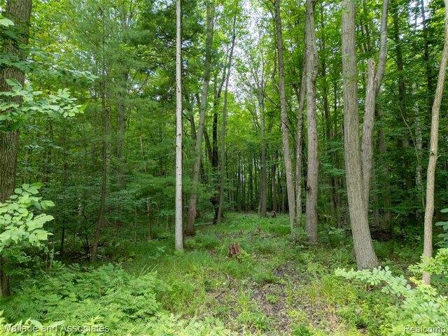 V/L Rabidue Rd, Clyde Township, MI 48049