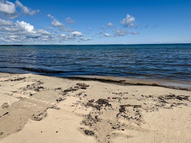 V/L Ray Dr, Ocqueoc, MI 49759