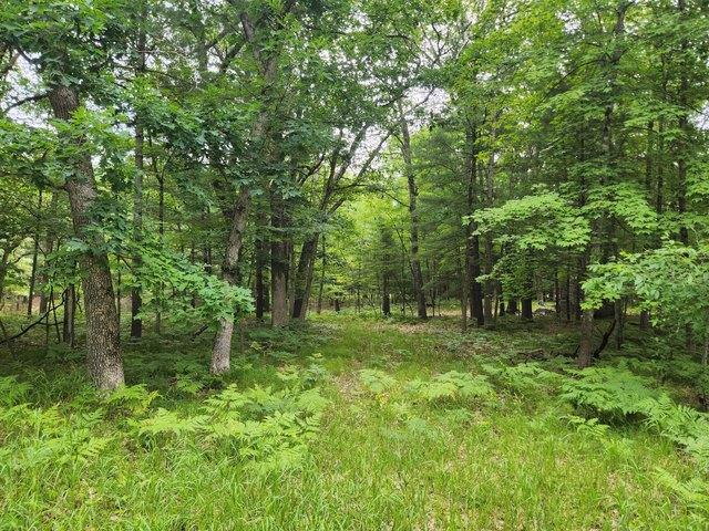 Vl Rebecca Rd, Baldwin, MI 49304