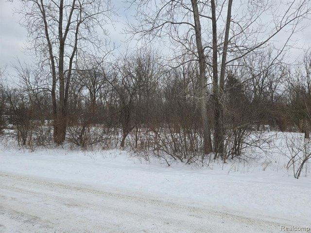 V/L Roat Ct, Burton, MI 48509