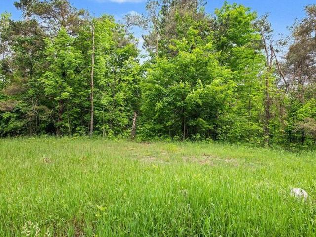 Vl Robinson Rd, Harbor Springs, MI 49740