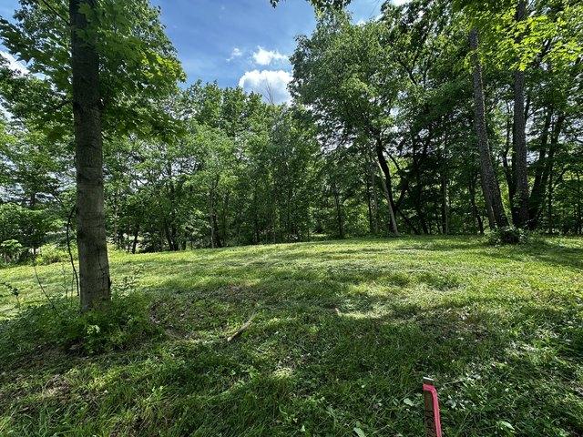 V/L S Norris Rd, Delton, MI 49046