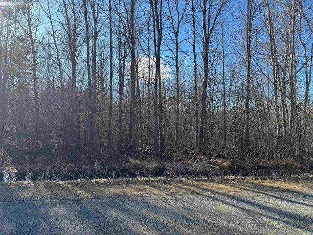 Vl S Castor Rd, Shepherd, MI 48883