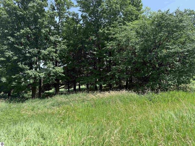 Vl S Lachance Rd, McBain, MI 49657