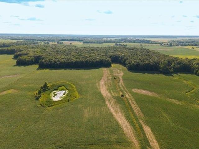V/L S Pittsford Rd, Pittsford, MI 49271