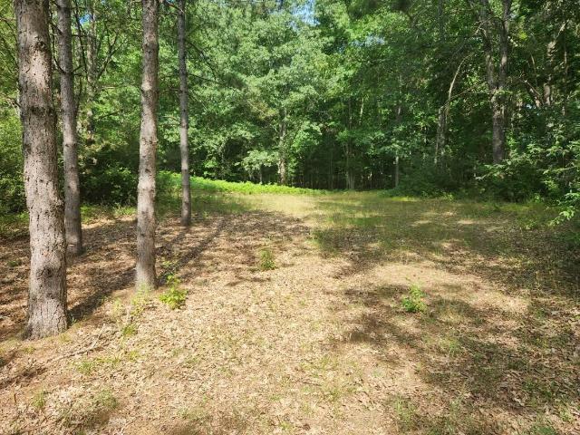 V/L S Riverbend Road # Lot 54