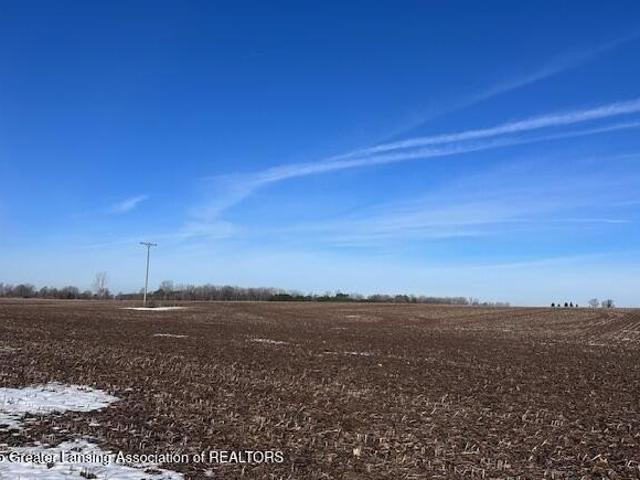 V/L S St Clair Rd, Saint Johns, MI 48879