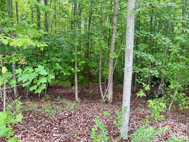 V/L Scenic Vista Drive # 248