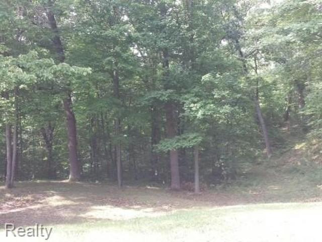 Vl Schafer Rd, Hamburg Township, MI 48843