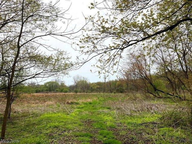 V/L Schocalog Rd, Copley, OH 44320