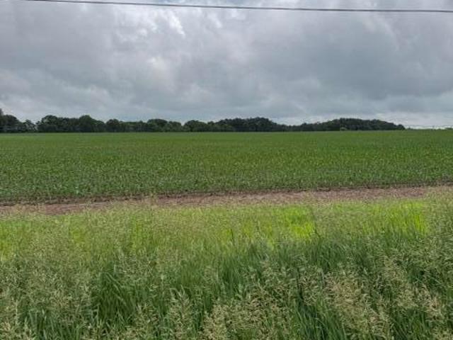 V/L Satterlee Road