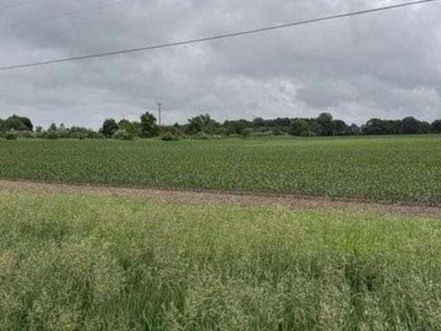 V/L Satterlee Rd, Greenville, MI 48838