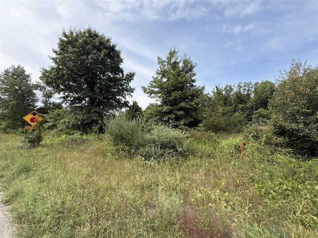 V/L Sawyer Road