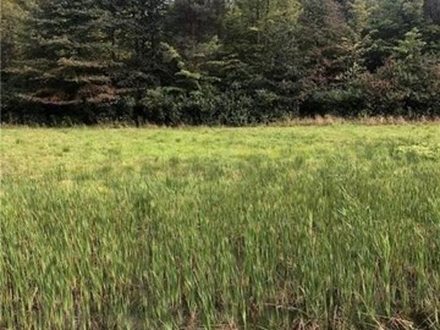 V/L Southwestern Blvd, Angola, NY 14006
