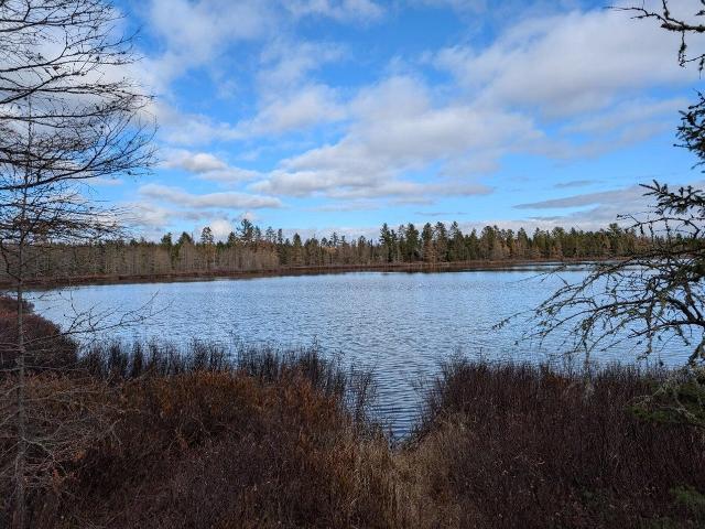 VL Slough Lake Road