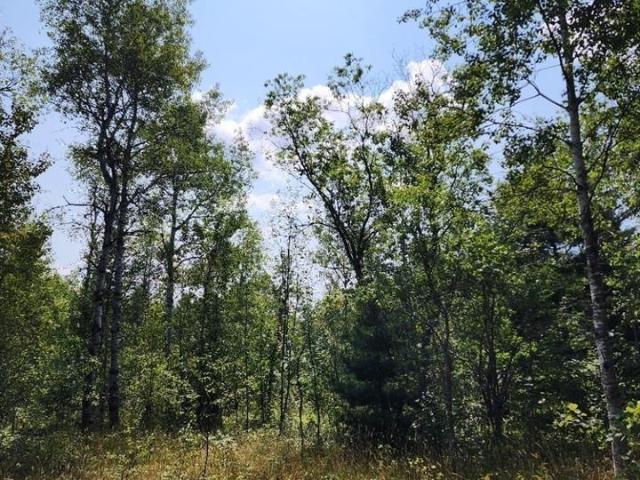 VL Snowridge Trail