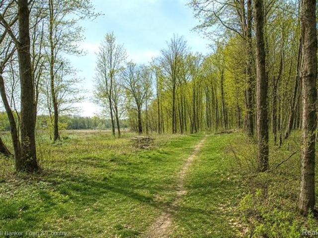 Vl Spears, Unadilla, MI 48137