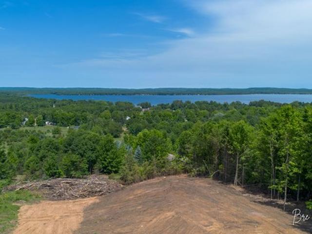 V/L Spruce Ridge Rd, Bear Lake, MI 49614