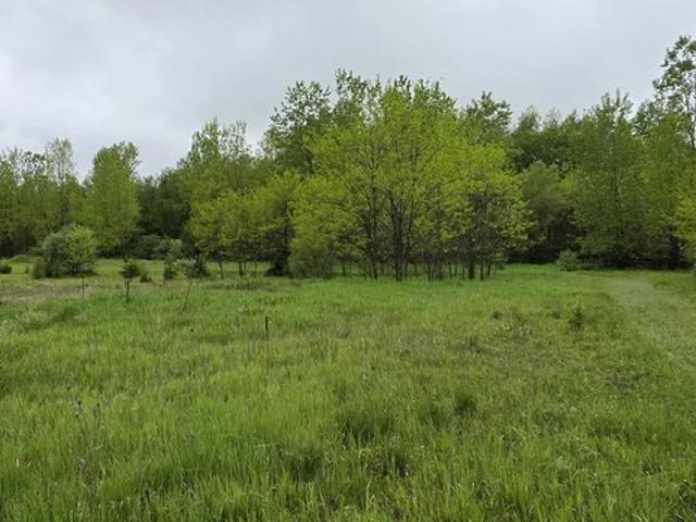 Vl St Clair Cir, Brooklyn, MI 49230