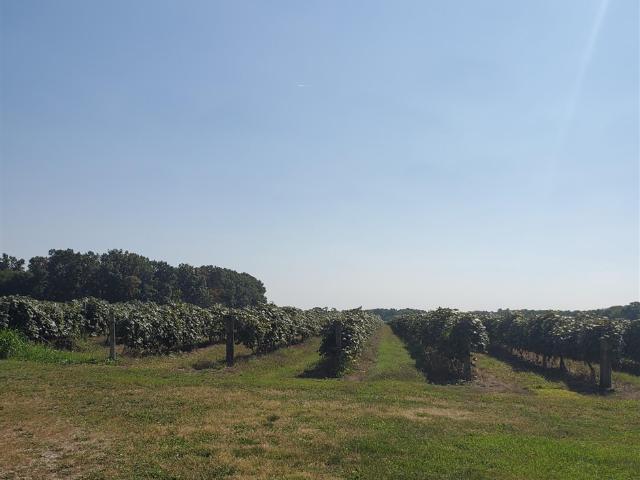 VLA County Road 671