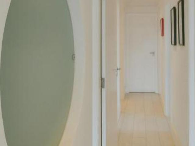VNCI 17 Apto theremaxcollection IALPJ