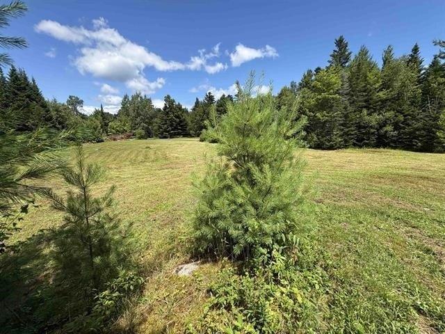 Vt,hyde Park, Plot For Sale