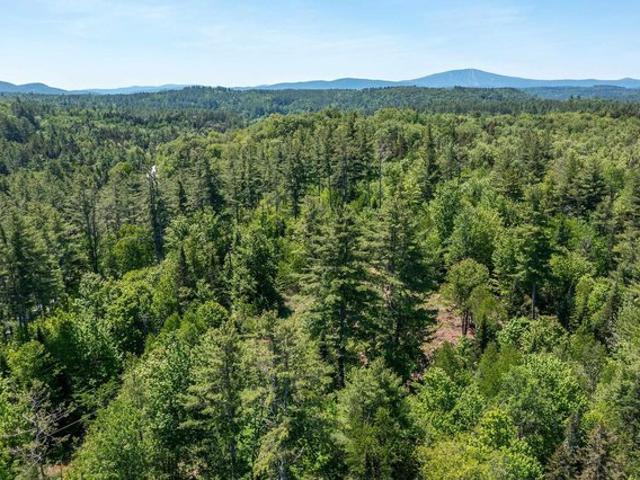 Vt Route 100, Londonderry, VT 05148
