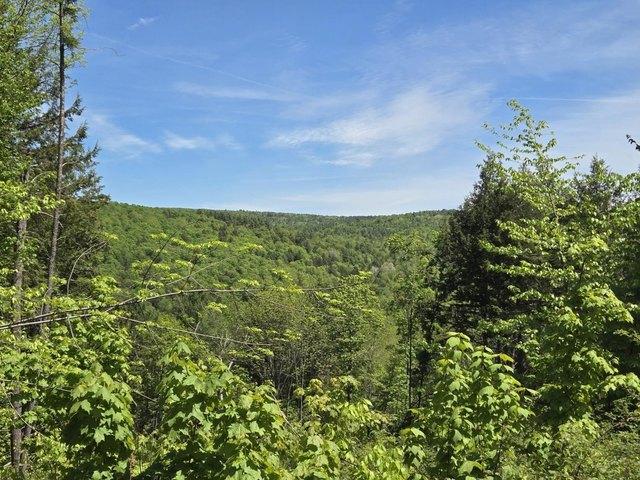Vt Route 12 Lot 2, Barnard, VT 05031