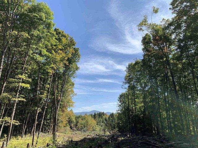 Vt Route 14, East Montpelier, VT 05651
