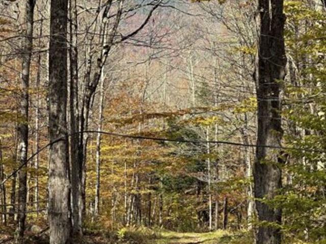 Vt Route,weathersfield, Plot For Sale