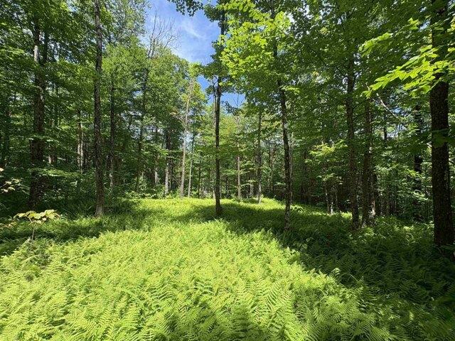 Vt Route E, Plot For Sale