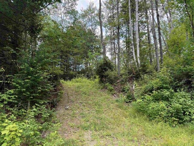 Vt Route Lot,guildhall, Plot For Sale