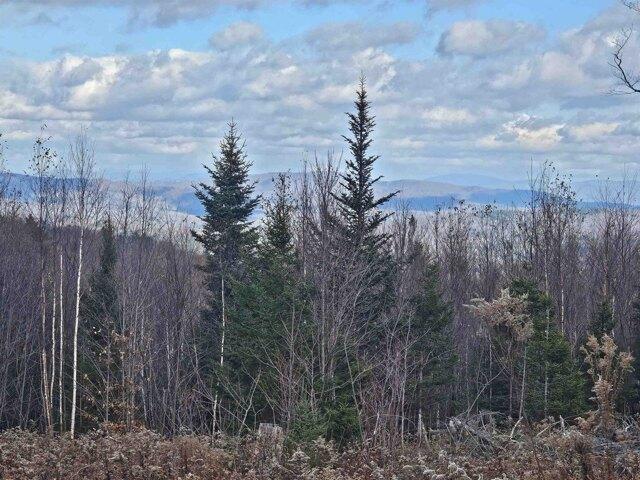 Vt Route,stratton, Plot For Sale