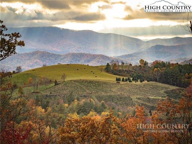 Vv22 Firestone Ln, Banner Elk, NC 28604