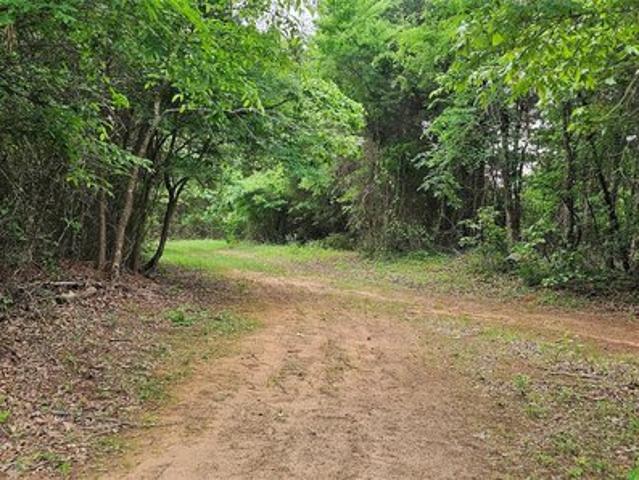 Vz County Road 4814, Ben Wheeler, TX 75754