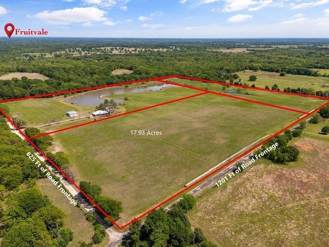 290 Vz County Road 3222, Wills Point, TX 75169