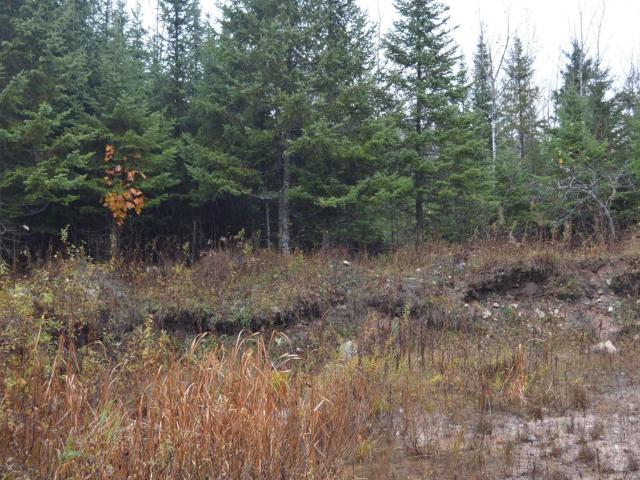 W15598 Hiawatha Trail