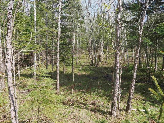 W15598 Hiawatha Trail