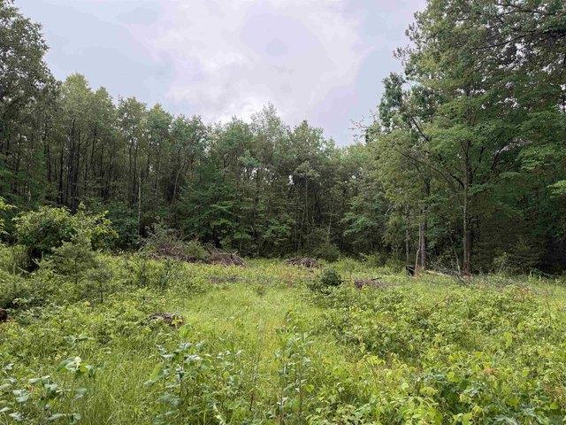 W1561 Hawks Nest Trl Unit 62, Keshena, WI 54135